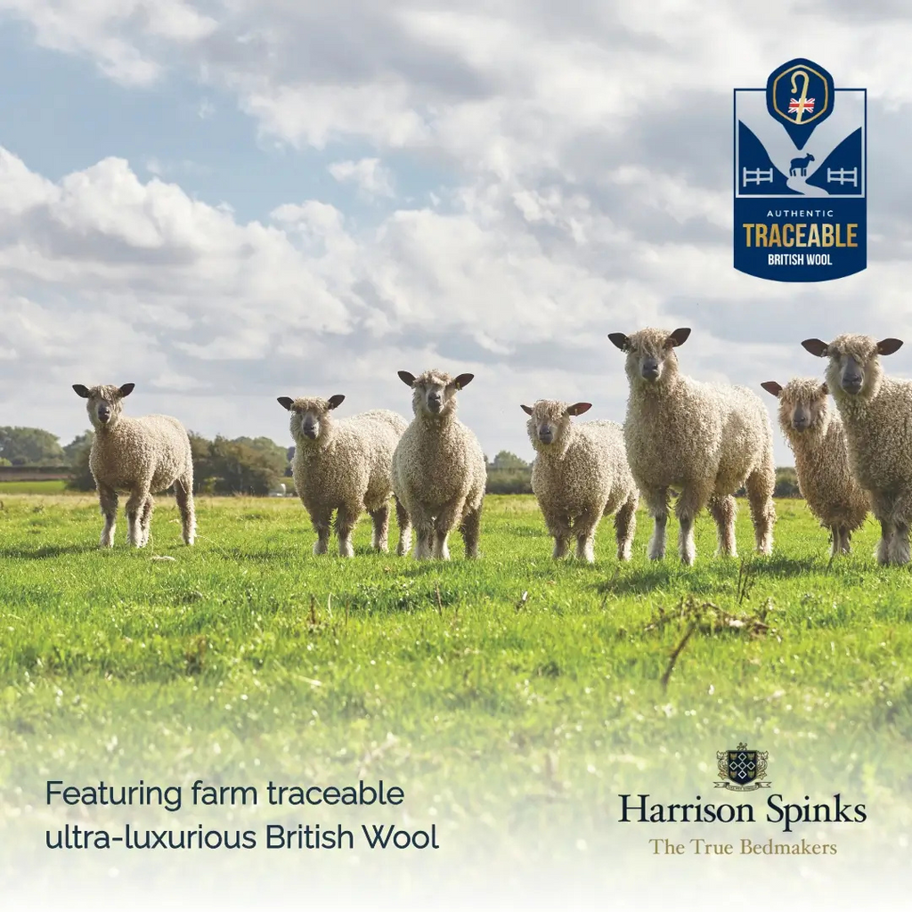 Harrison Spinks Premium British Wool Pillow – The Bed Post